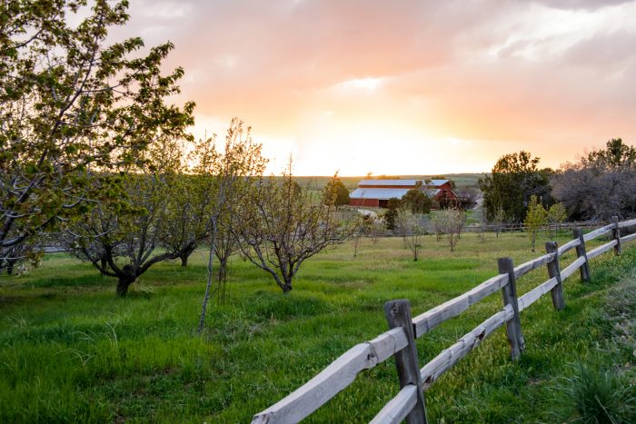 Clear Creek Ranch | Group and Family Reunion Guest Ranch